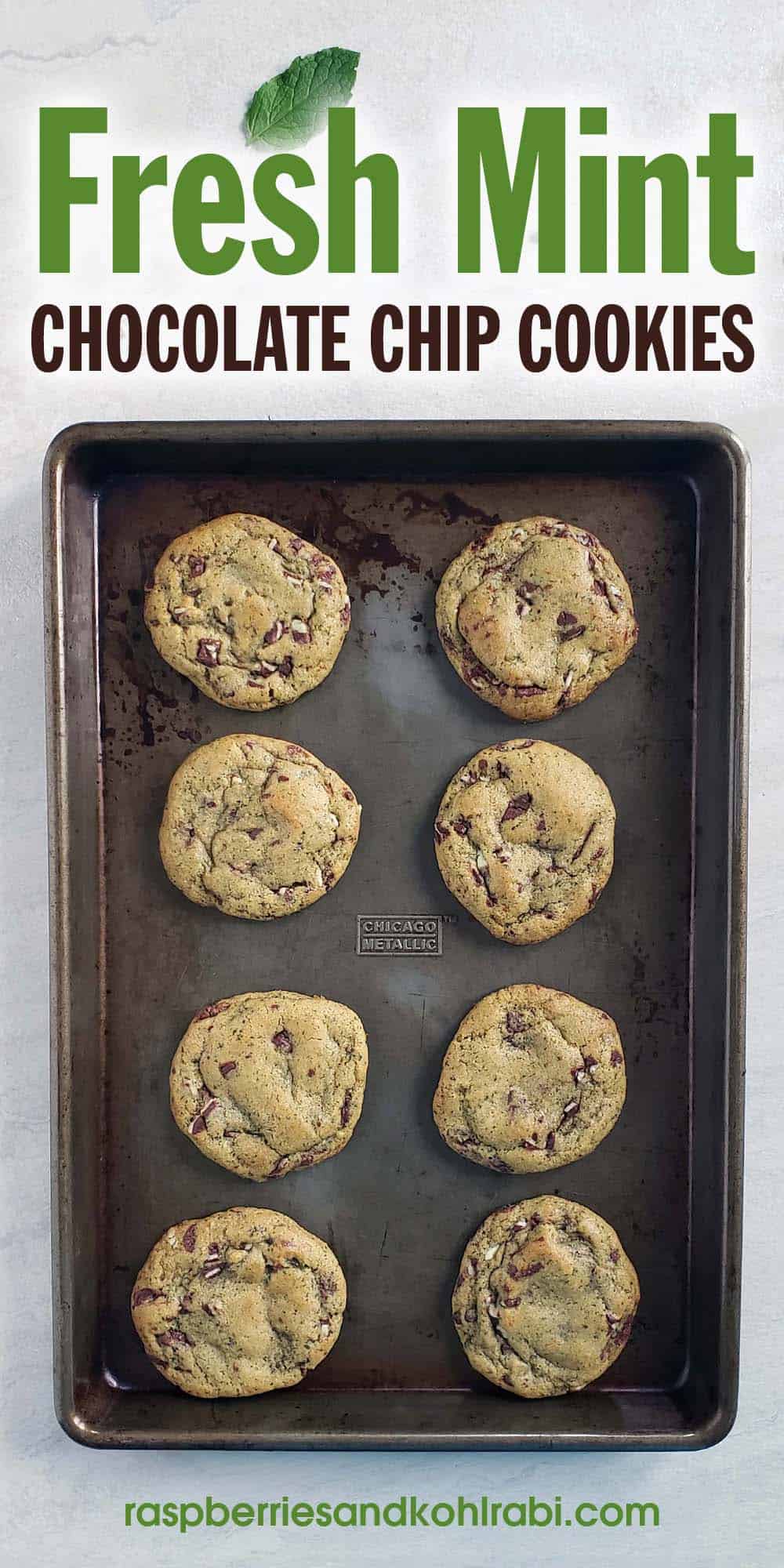 Fresh Mint Chocolate Chip Cookies - Raspberries and Kohlrabi
