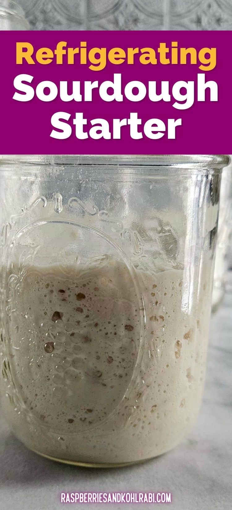 Refridgerating Your Sourdough Starter - Raspberries and Kohlrabi